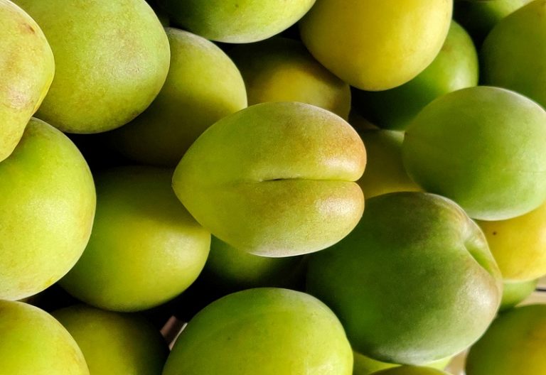 15 Fruits That Start with K for a Nutritious and Healthy Diet