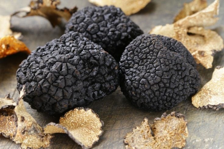What Do Truffles Taste Like? - Food Plus Words