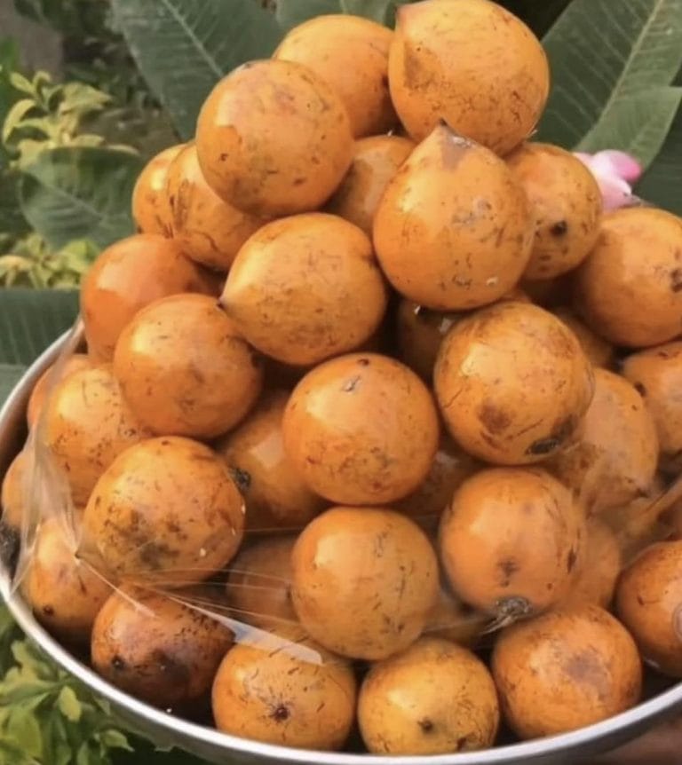 25 Fruits that start with U Guaranteed to Surprise You