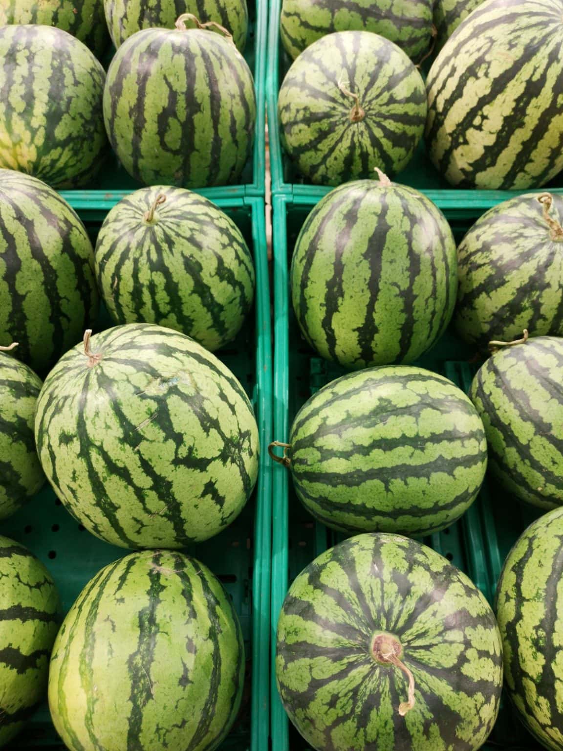 12 Fruits that Start with X that Stole the Show from A to W