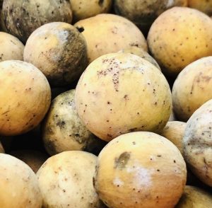 You Won’t Believe These 28 Fruits That Start with D Even Exist!