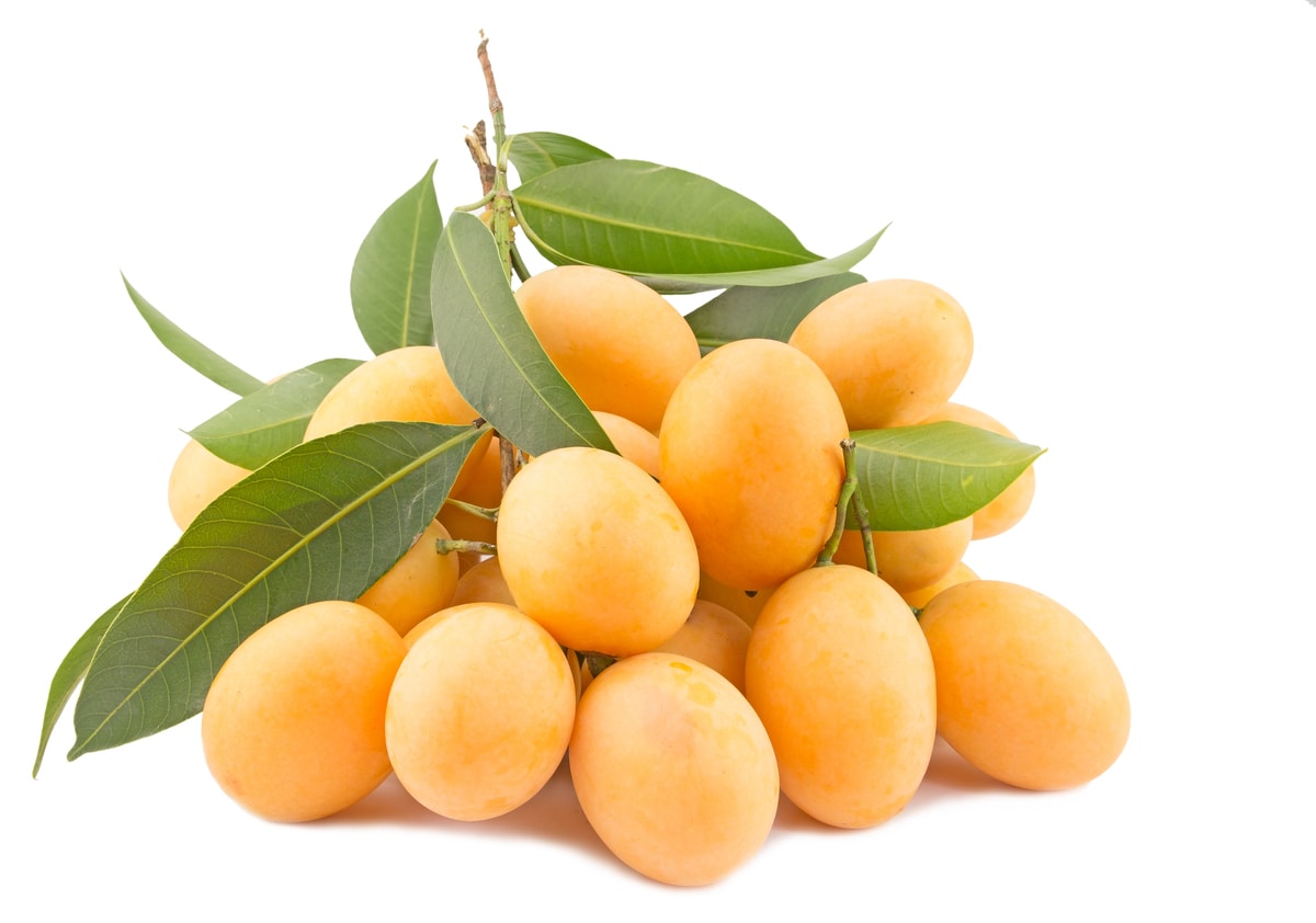 36 Fruits that Start with M You Must Munch On
