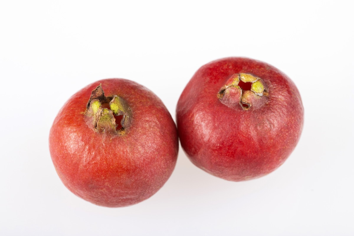 37 Fruits that Start with S That'll Spark Endless Snackventures