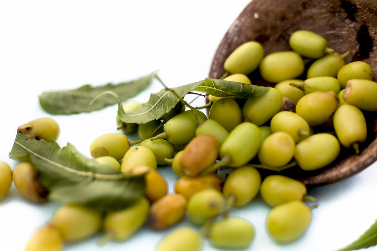 27 Fruits that Start with N for Your Next Food Adventure