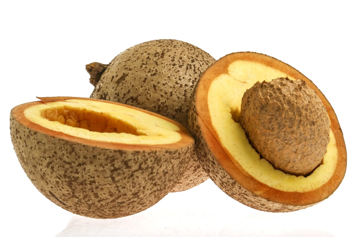 36 Fruits that Start with M You Must Munch On