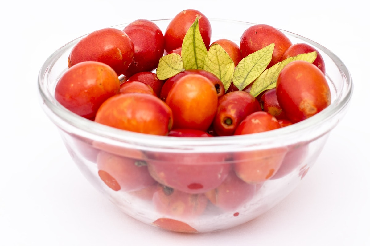 25 Fruits That Start with R That Will Leave You Drooling