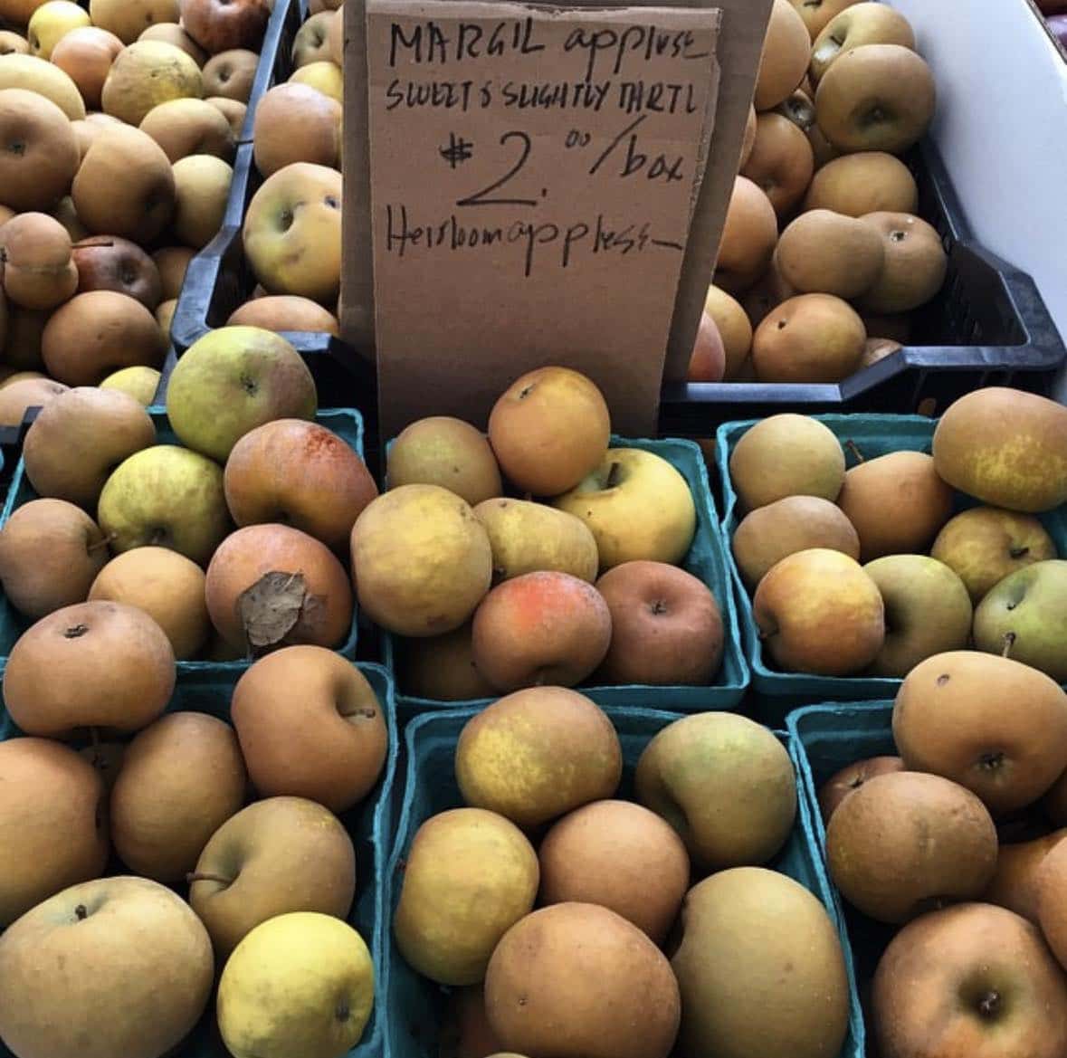 36 Fruits that Start with M You Must Munch On