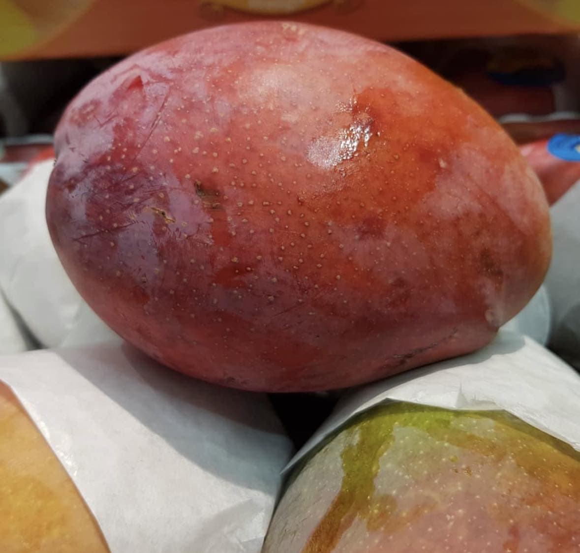 25 Fruits that Start with O to Outshine Your Usual Snacks