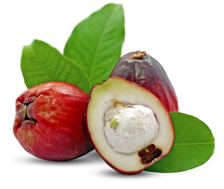 25 Fruits that Start with O to Outshine Your Usual Snacks