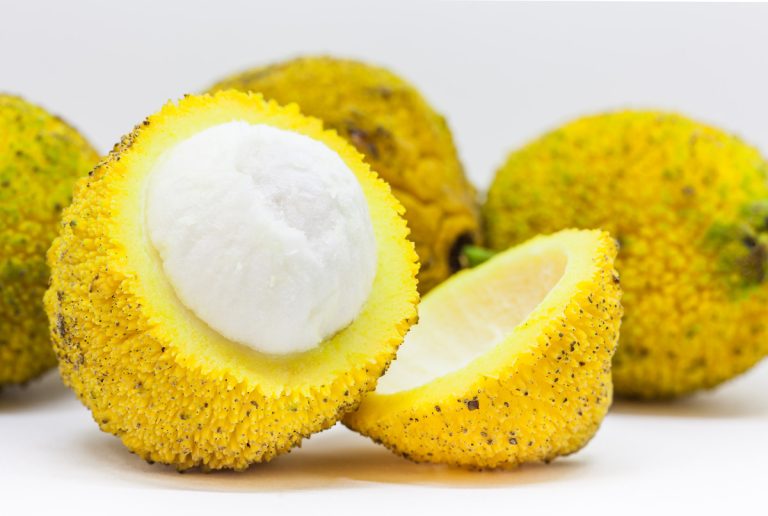 36 Fruits that Start with M You Must Munch On