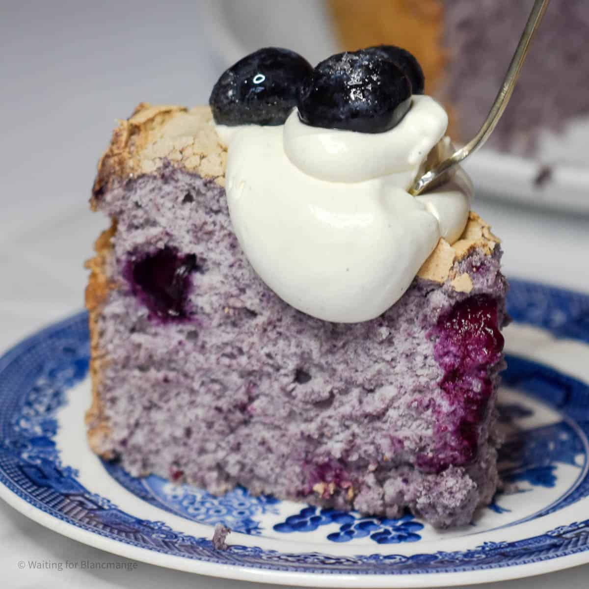 25 Best Summer Cakes That Will Leave You Wanting More