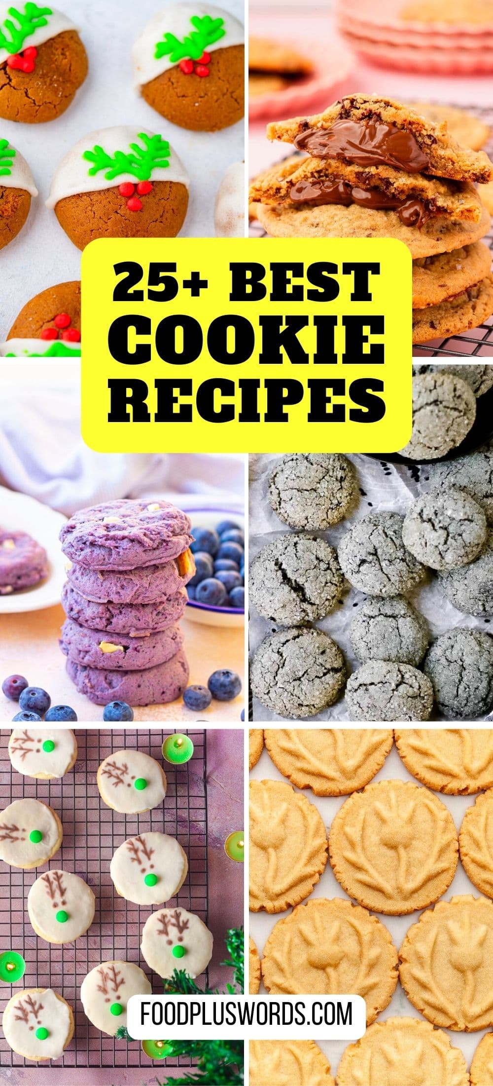 These 26 Best Cookie Recipes Will Make Your Mouth Water!