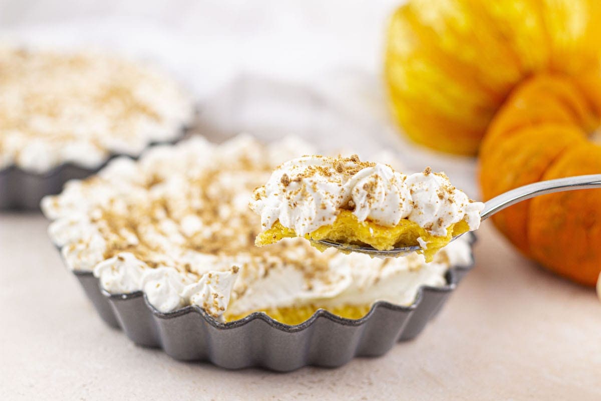 25 Pumpkin Puree Dessert Recipes So Simple, Even a Beginner Can Nail Them