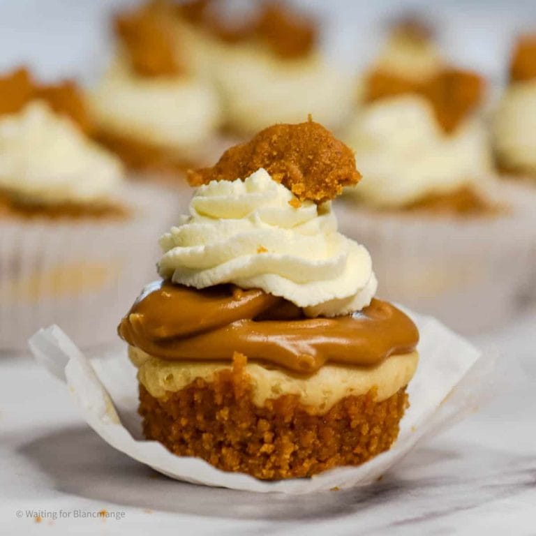 25 Biscoff Recipe Ideas That'll Make You a Dessert Pro