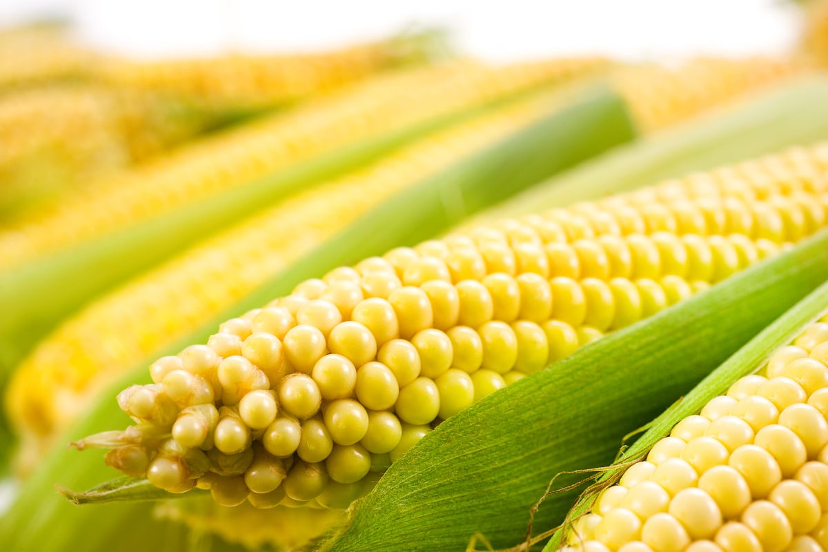 How To Freeze Corn: 3 Best Ways
