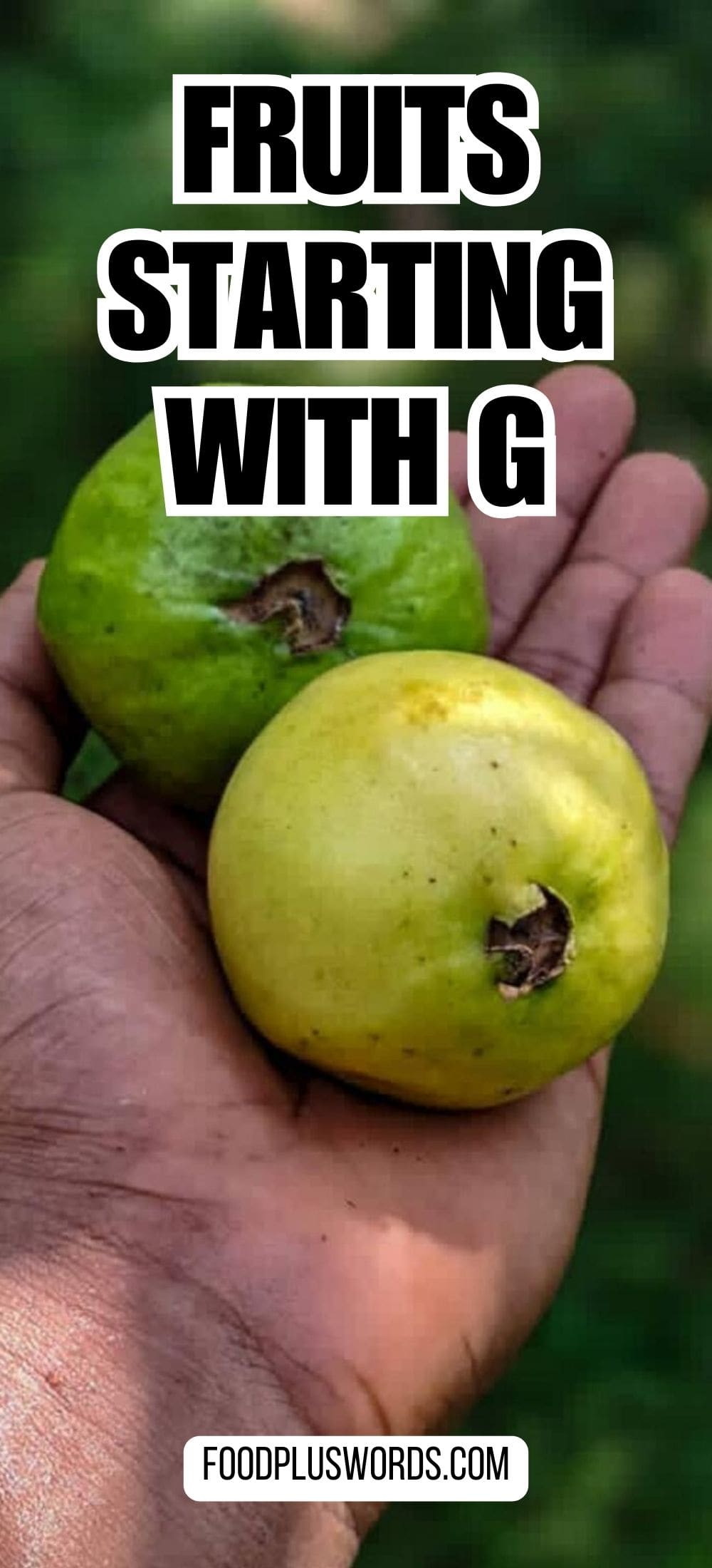 33 Fruits That Start with G (#17 and #28 Are Super Scary!)