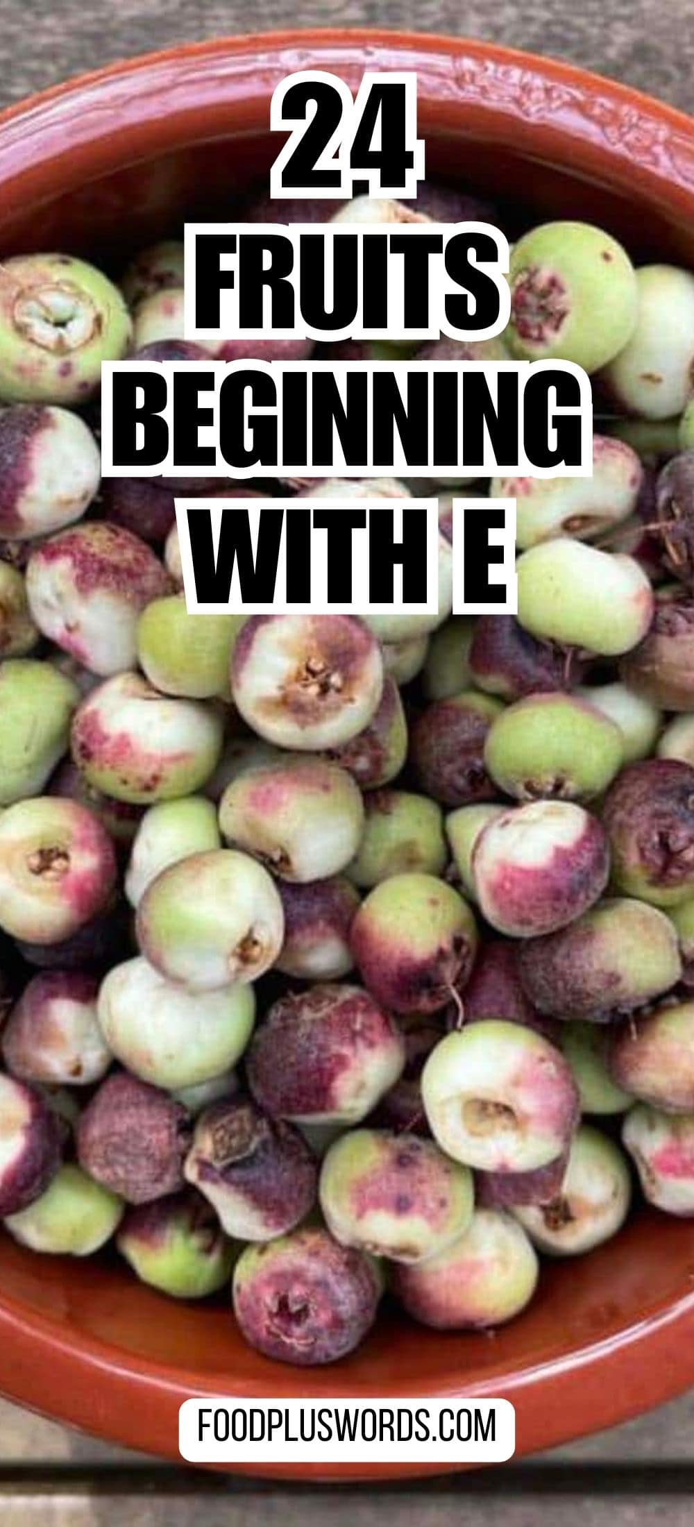 24 Fruits That Start with E Every Food Lover Should Know!