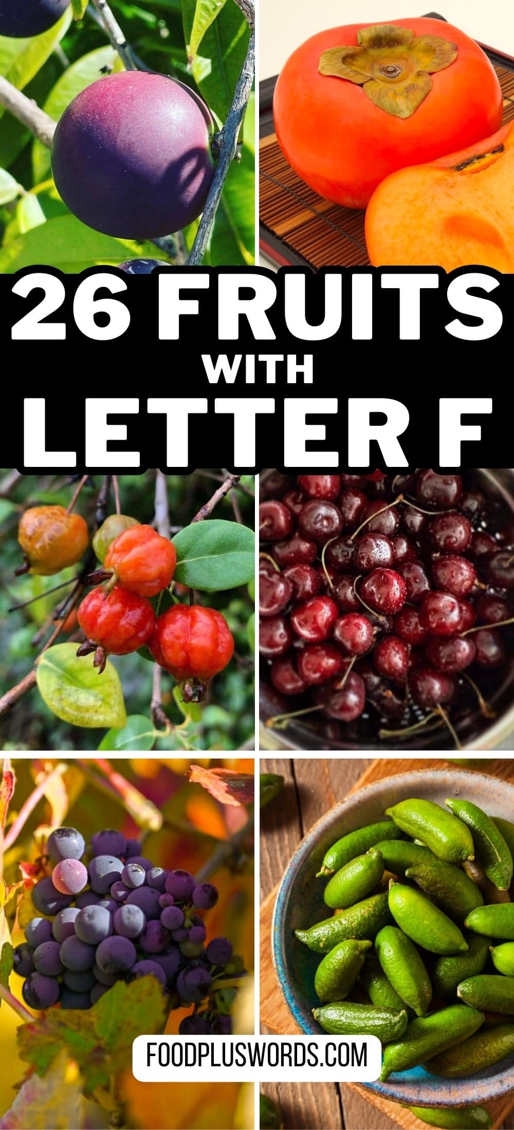 26 Amazing Fruits That Start with F That Will Surprise You