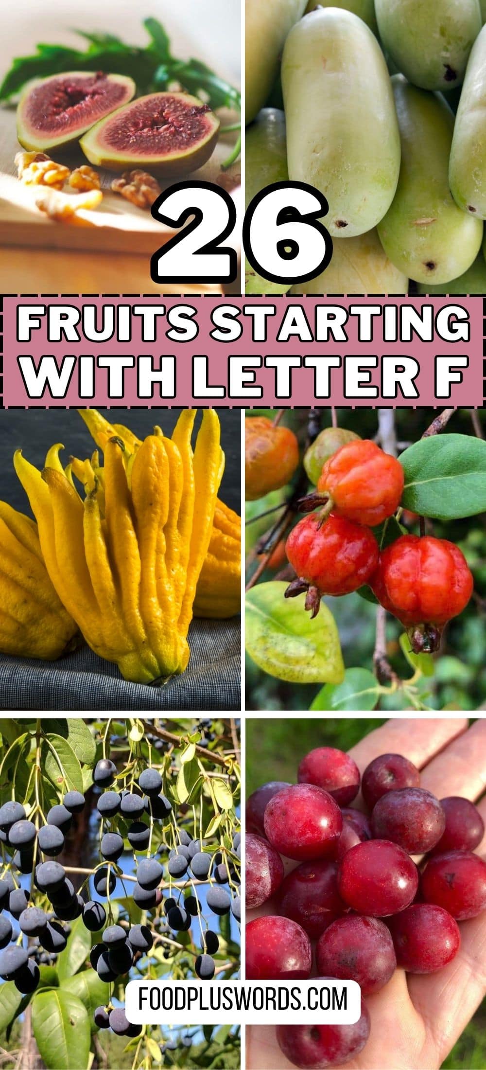 26 Amazing Fruits That Start with F That Will Surprise You