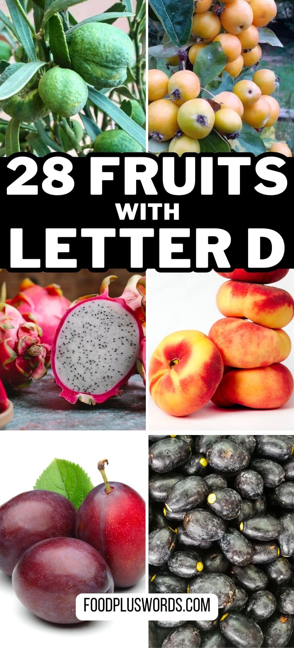 You Won’t Believe These 28 Fruits That Start with D Even Exist!