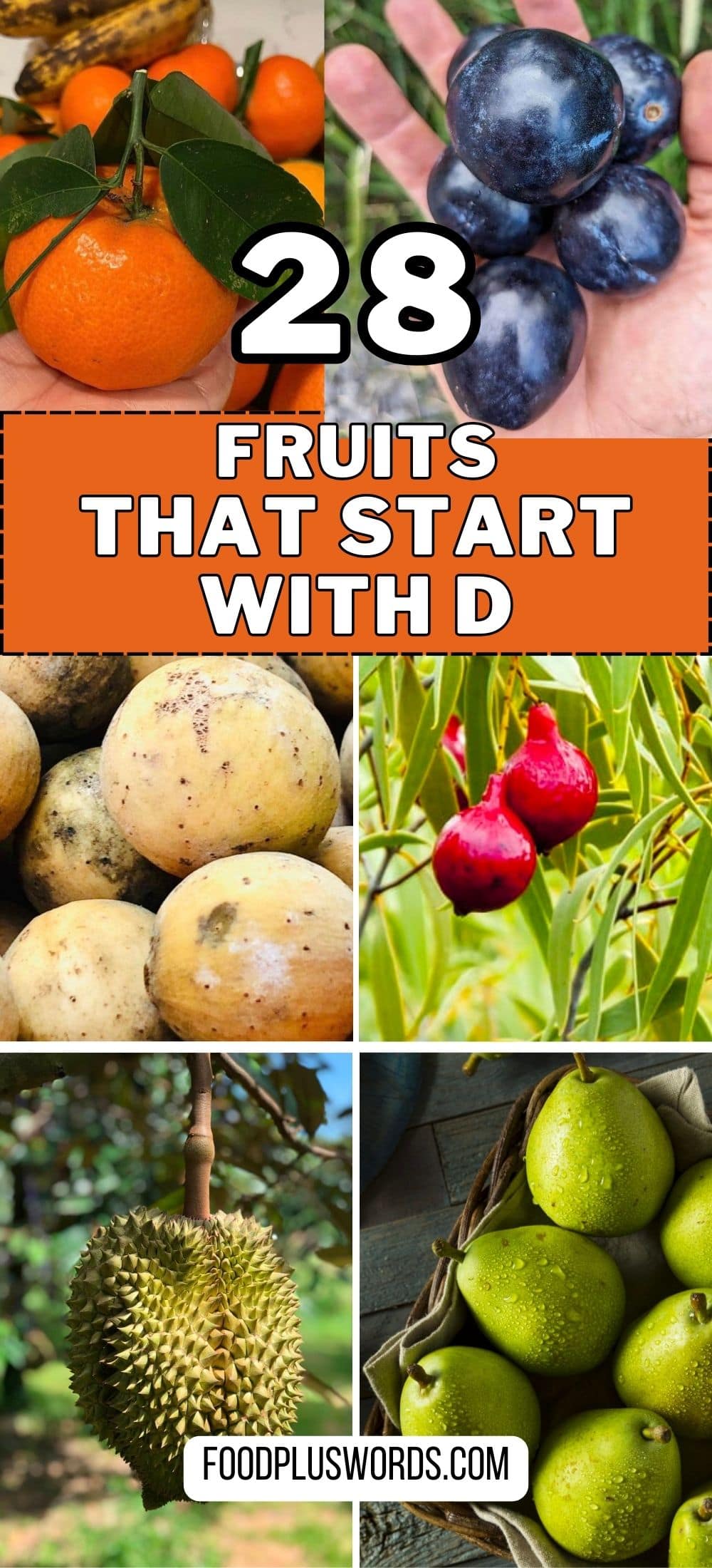 You Won’t Believe These 28 Fruits That Start with D Even Exist!