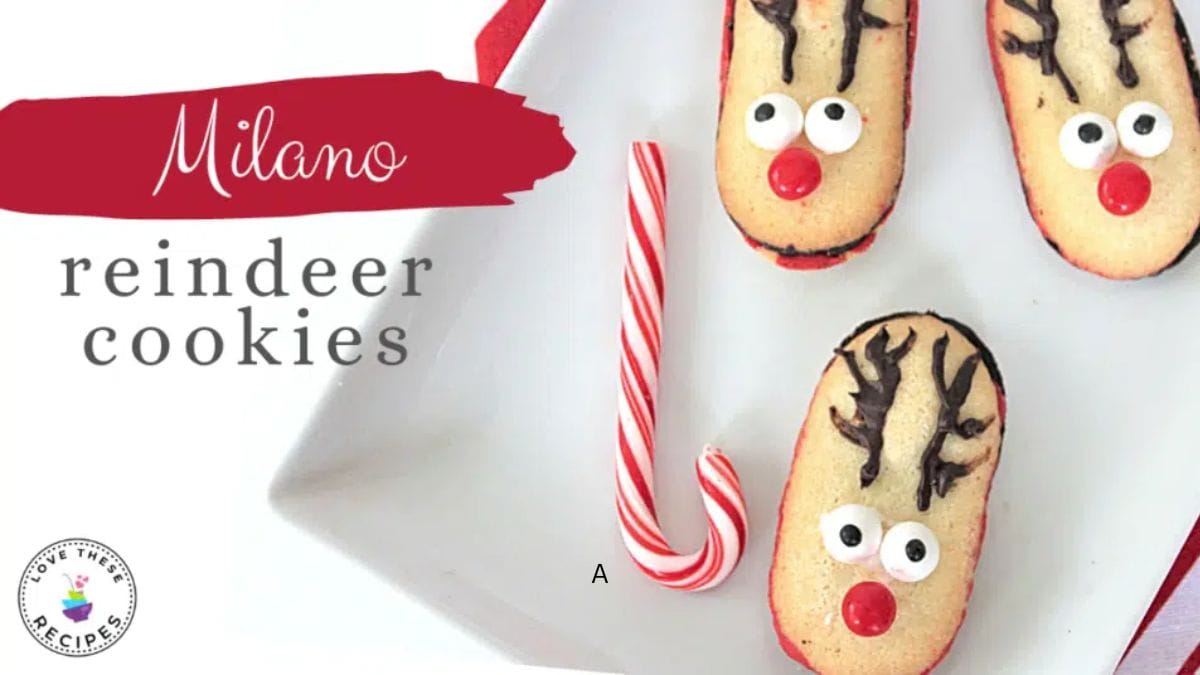 24 Best No Bake Christmas Cookies That Anyone Can Make!