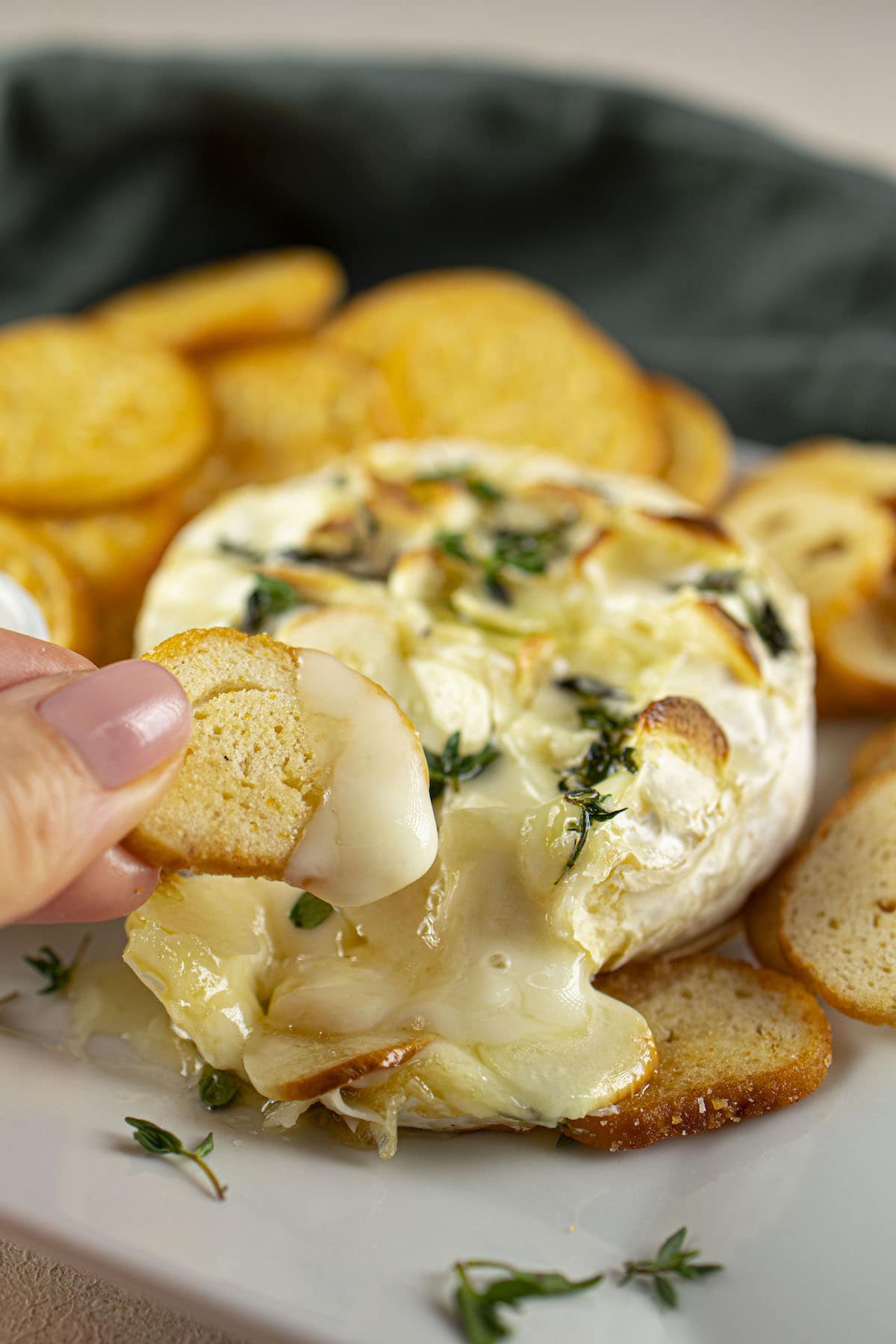 4 Ingredient Baked Brie with Garlic