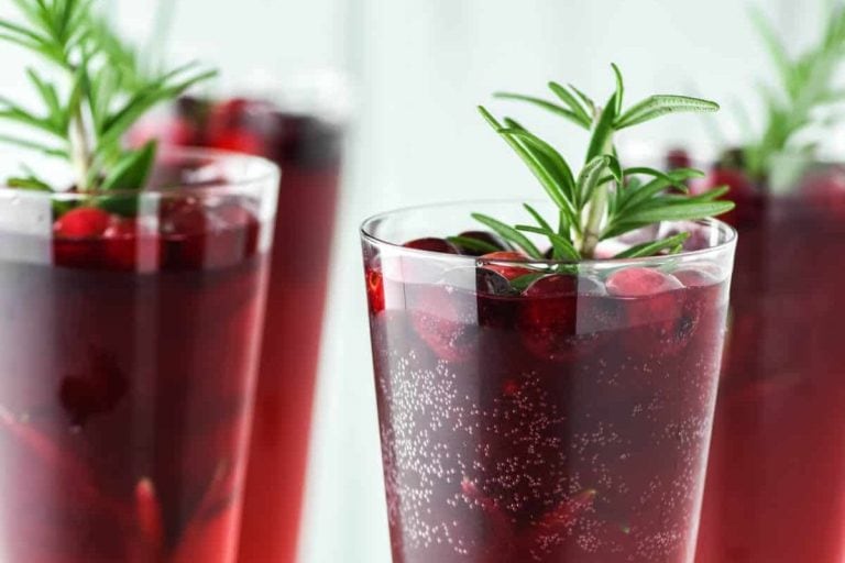 25 Cranberry Recipes That Will Rock Your Taste Buds - Food Plus Words