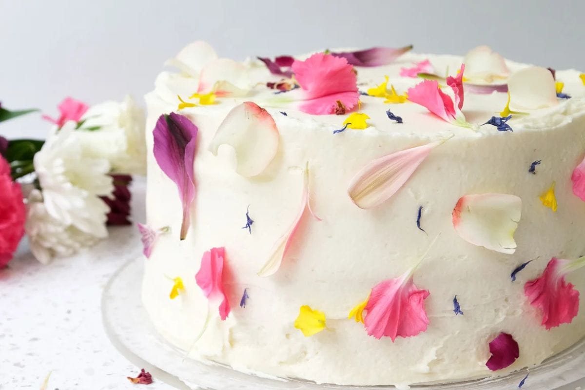 25 Cake Ideas That Prove Dessert Is the Best Part of Life - Food Plus Words
