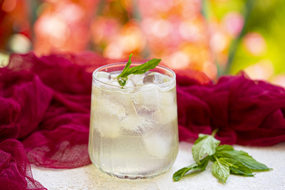 Yuzu Cocktail Recipe